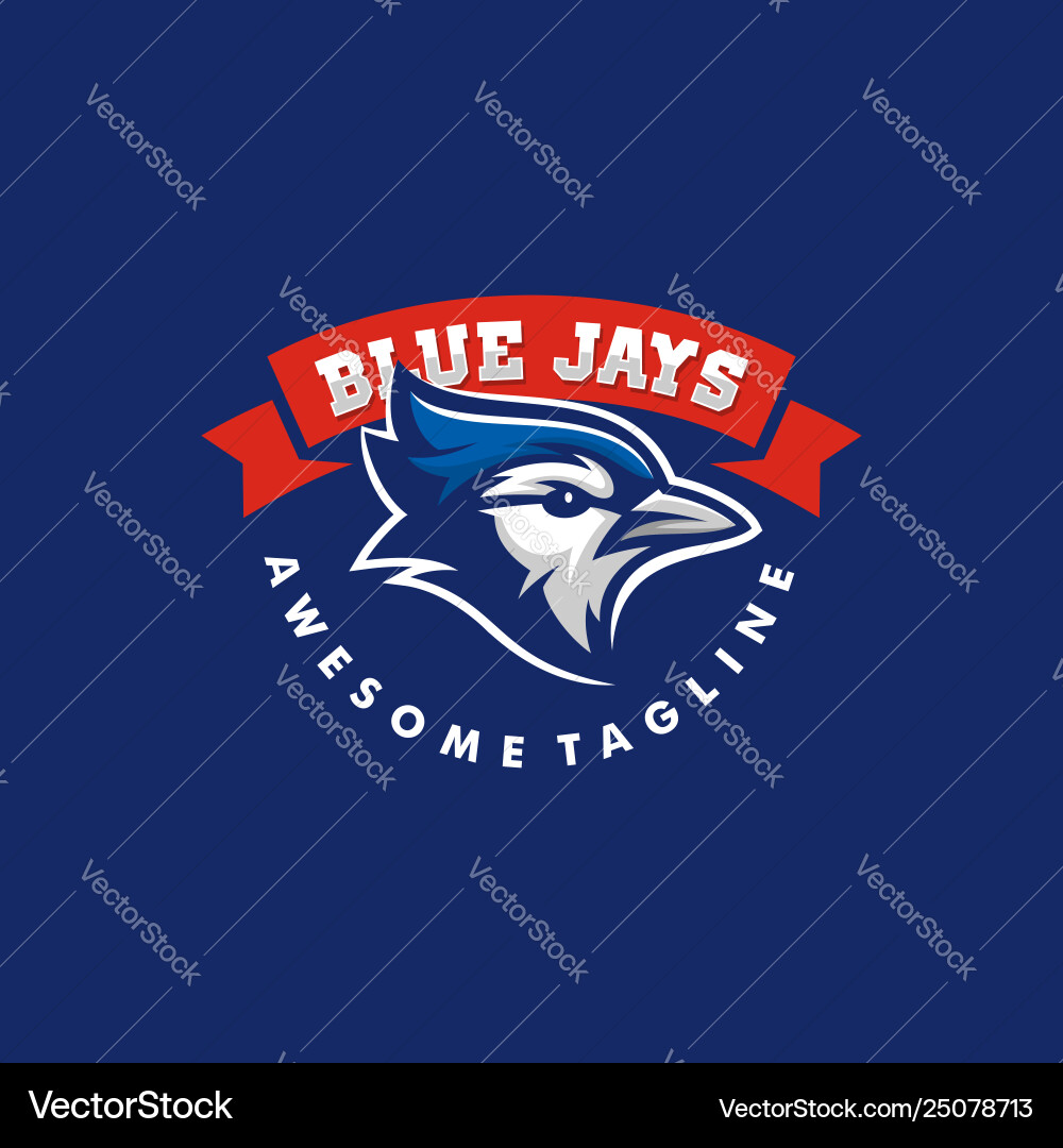 Blue Jay Head Vector Images (49)
