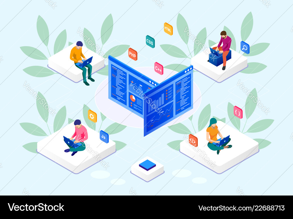 Isometric programmer coding new project web Vector Image