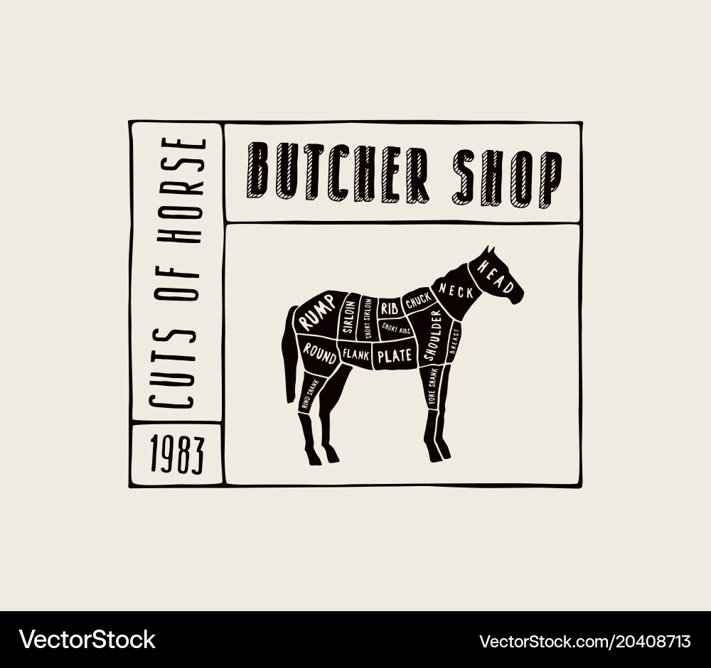 Stock horse cuts diagram Royalty Free Vector Image