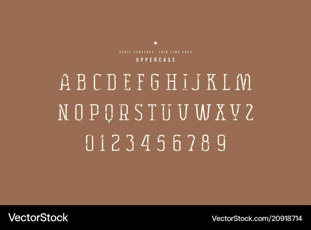 Original serif schriftart dünn linie face Vektorbild