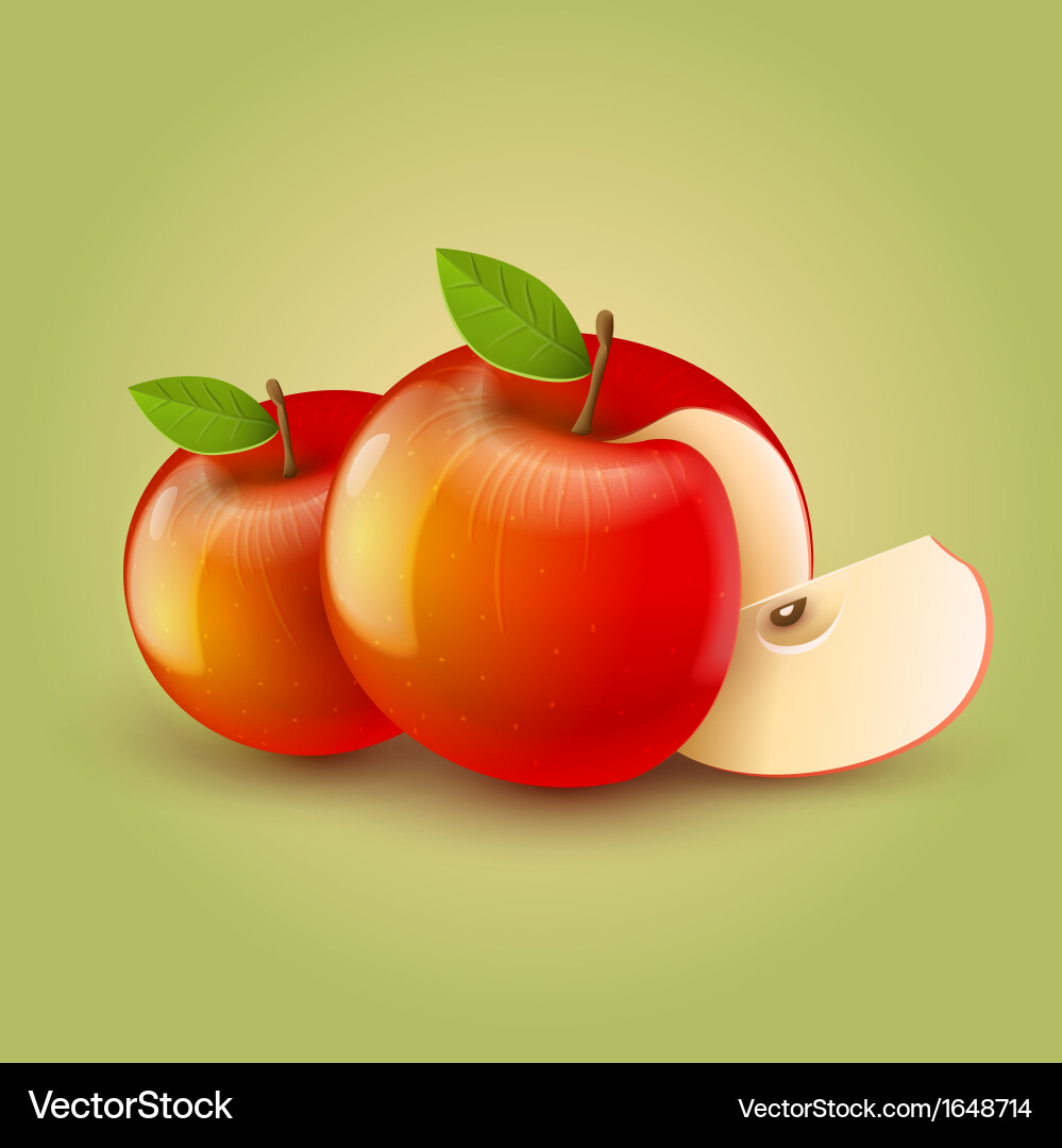 Red apples with cut Royalty Free Vector Image - VectorStock
