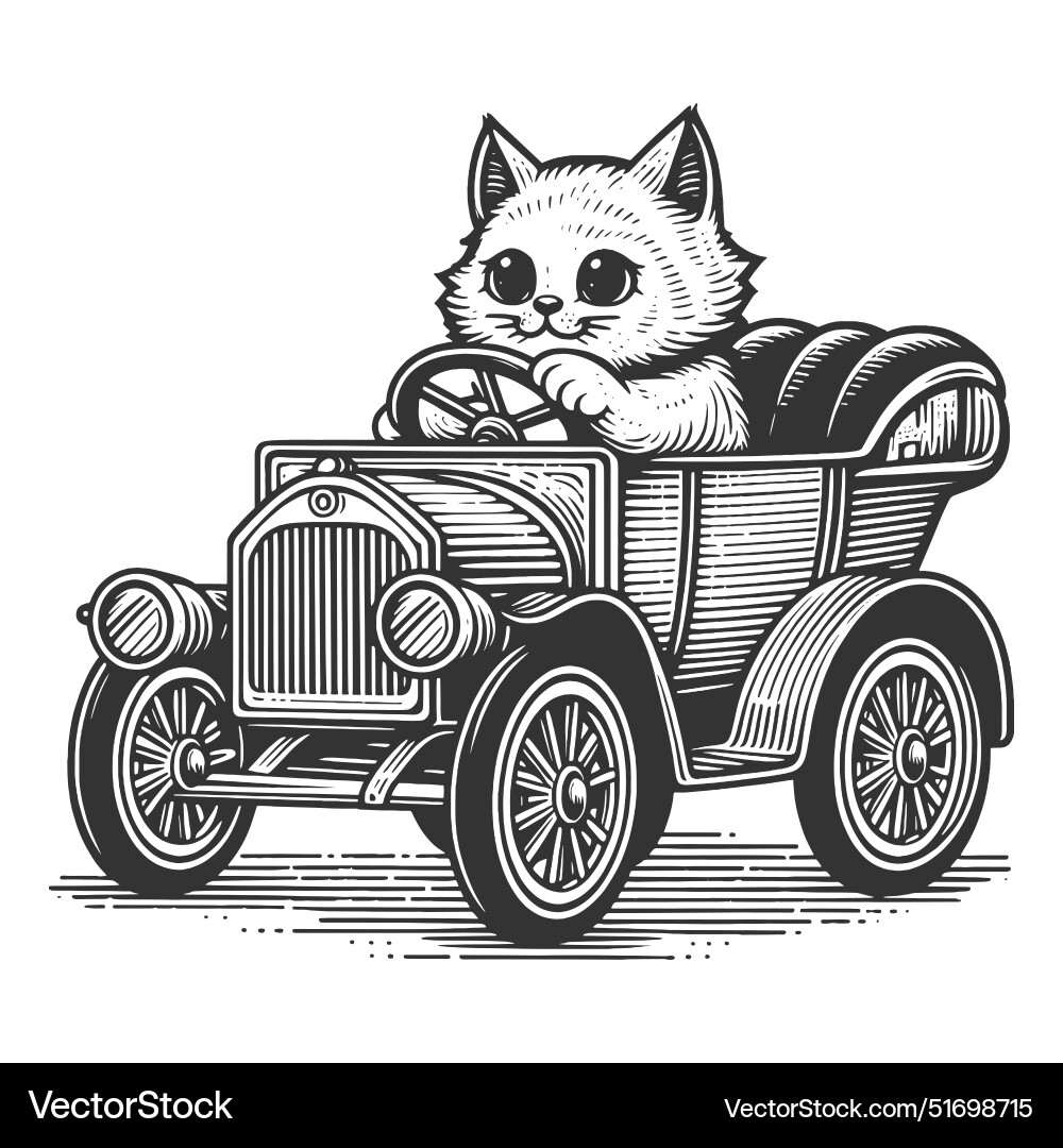 Cat driving car engraving Royalty Free Vector Image