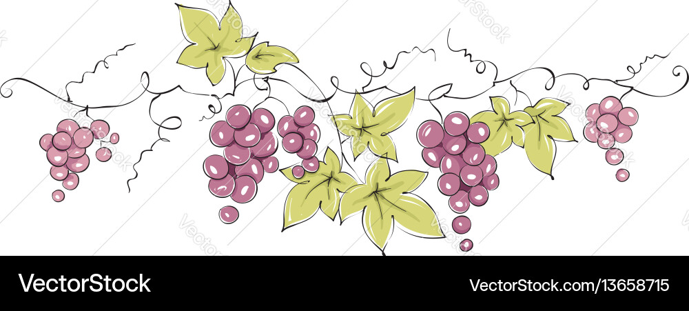 Design elements - vine Royalty Free Vector Image