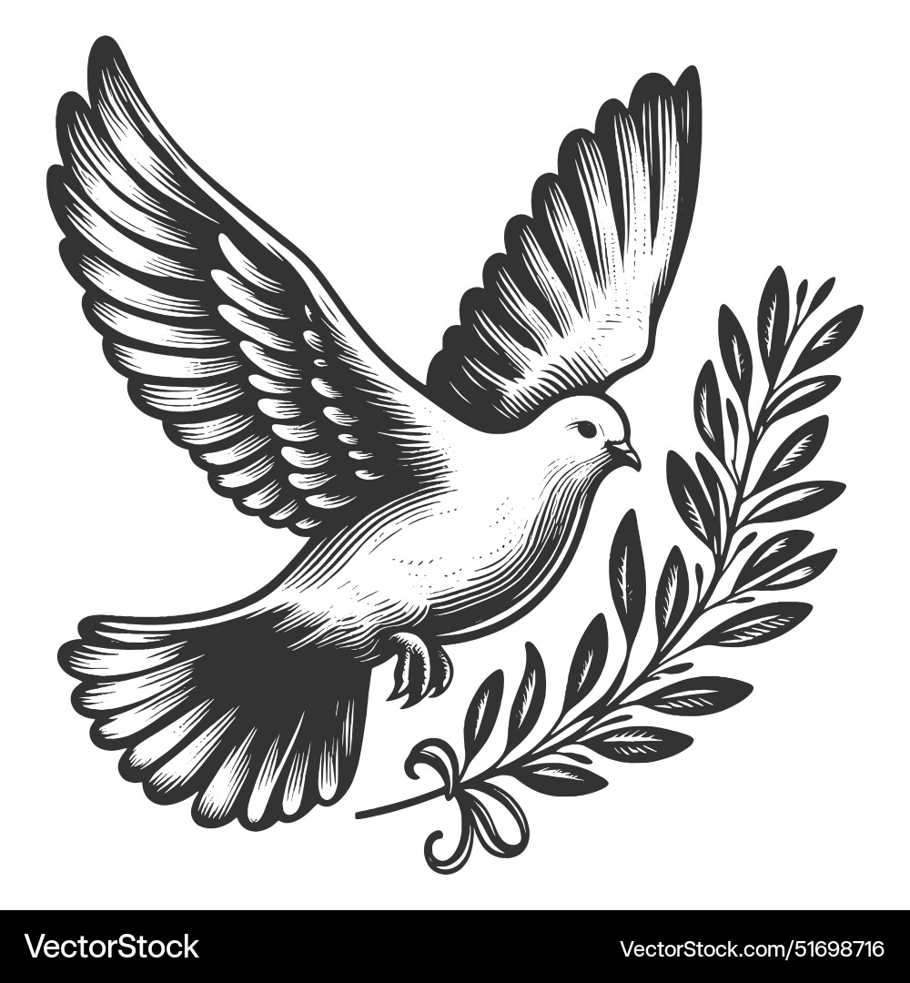 Peace dove with olive branch engraving Royalty Free Vector
