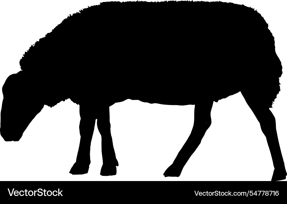 Silhouette of sheep Royalty Free Vector Image - VectorStock