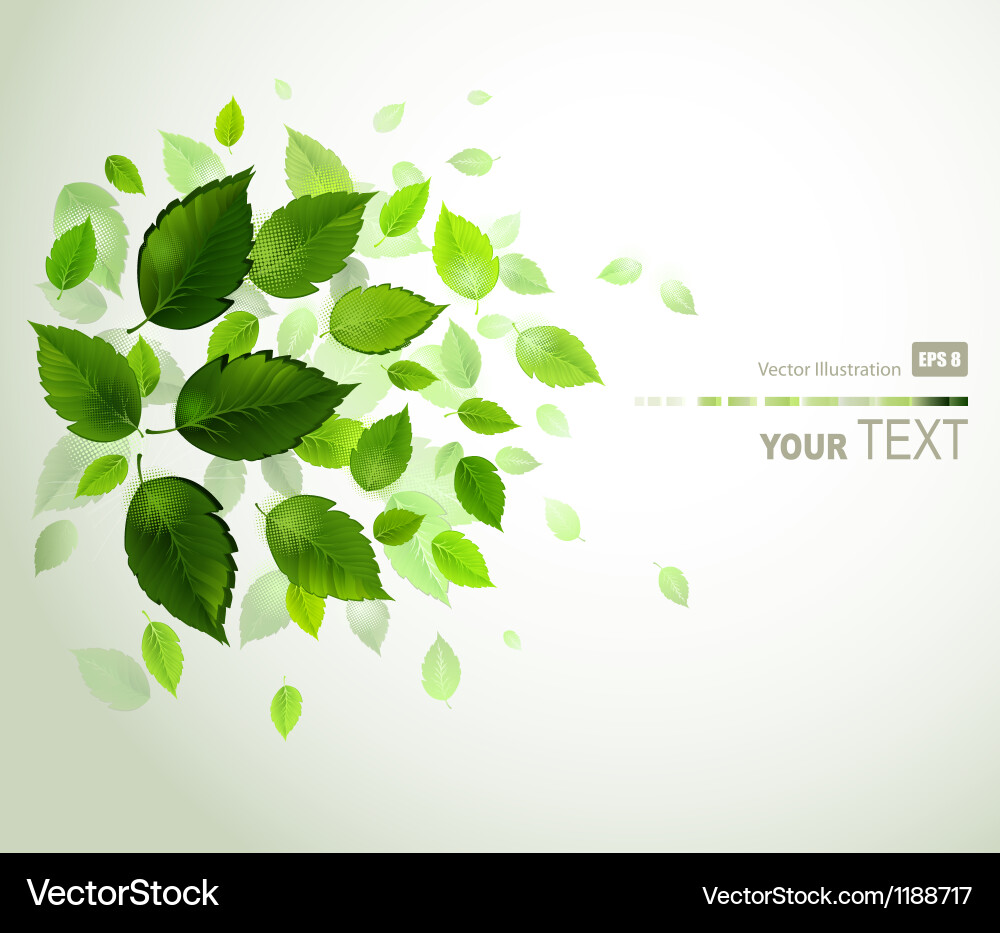 Green leaves Royalty Free Vector Image - VectorStock