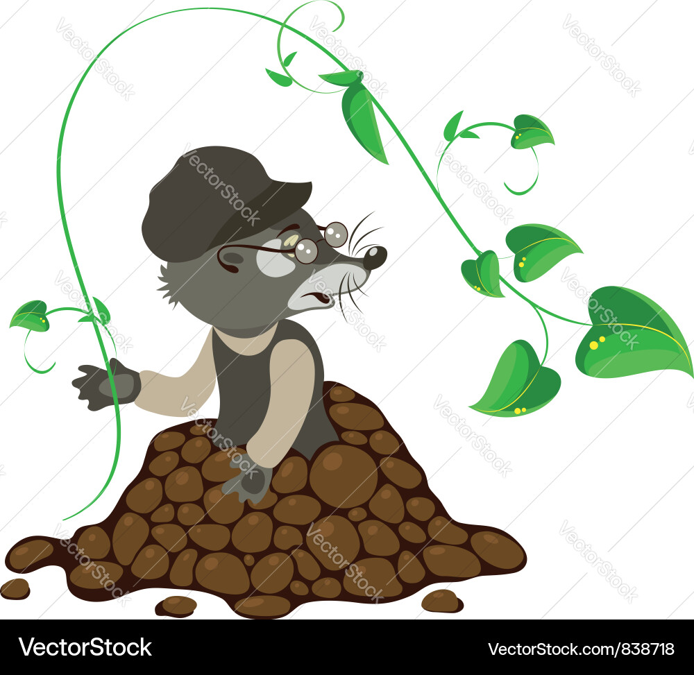 Mole Royalty Free Vector Image - VectorStock