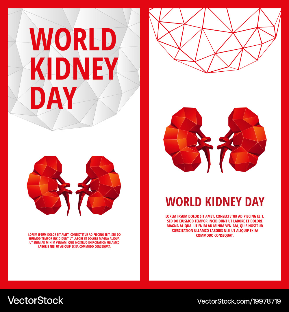 World kidney day flyer template Royalty Free Vector Image