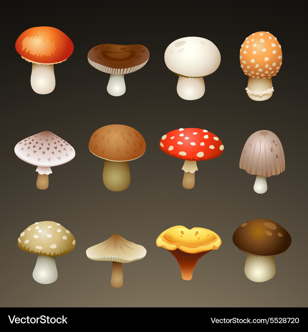 Mushrooms Royalty Free Vector Image - VectorStock