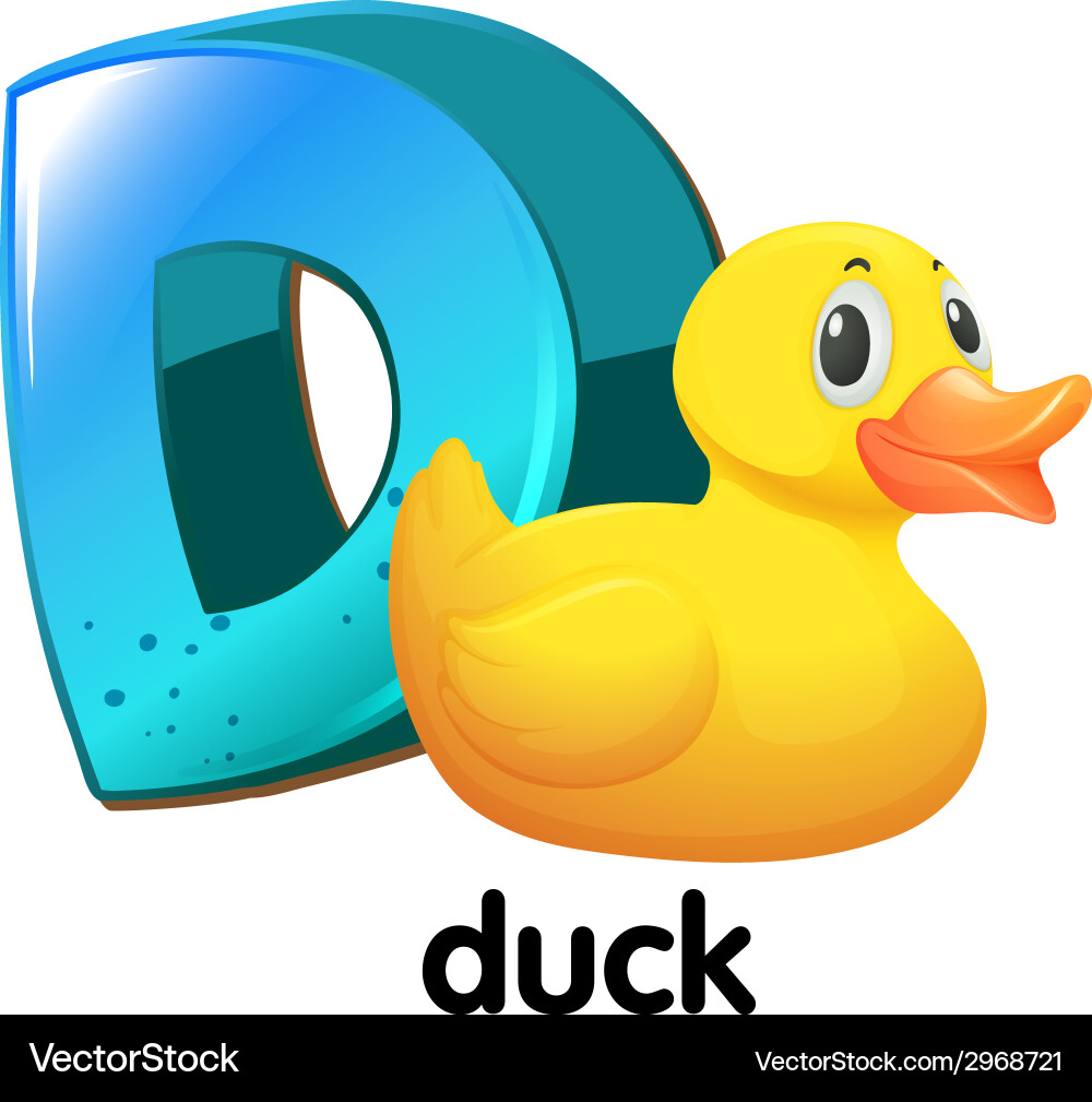 A letter d for duck Royalty Free Vector Image - VectorStock