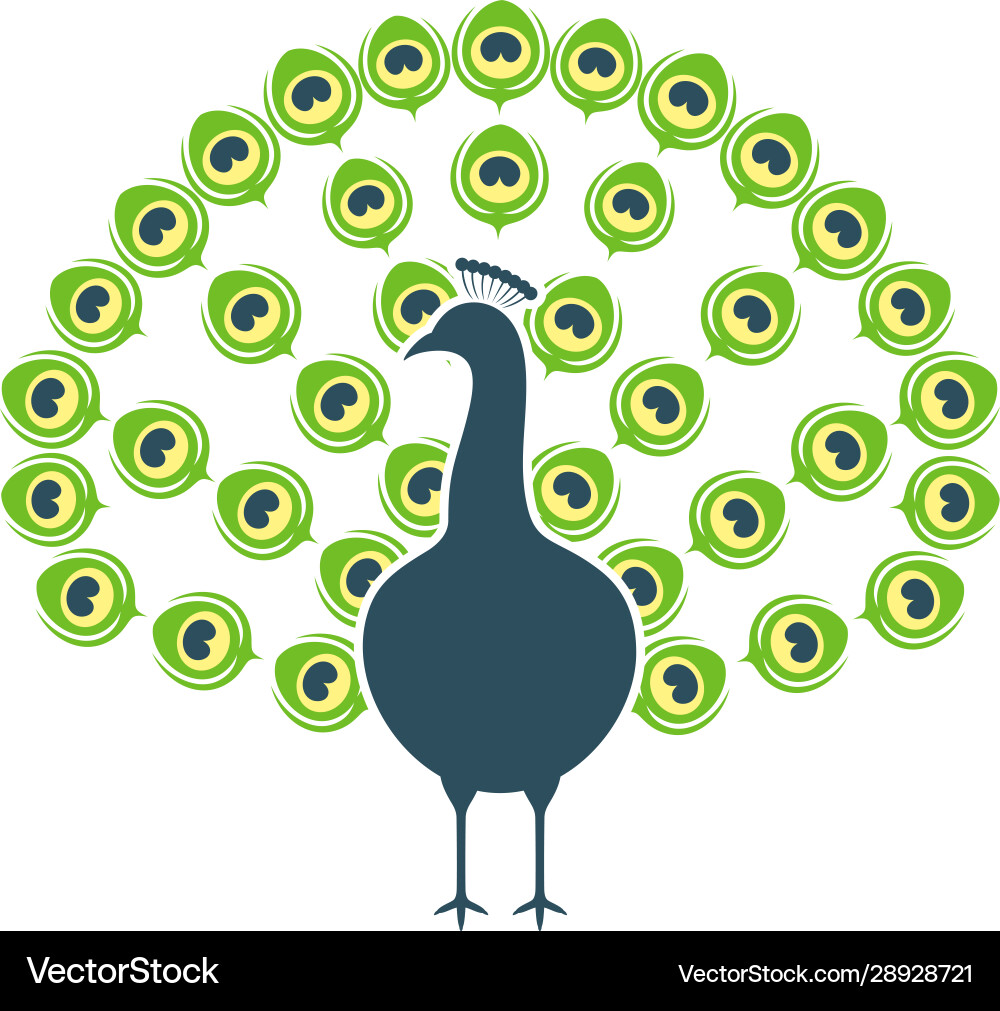 Peacock Royalty Free Vector Image - VectorStock