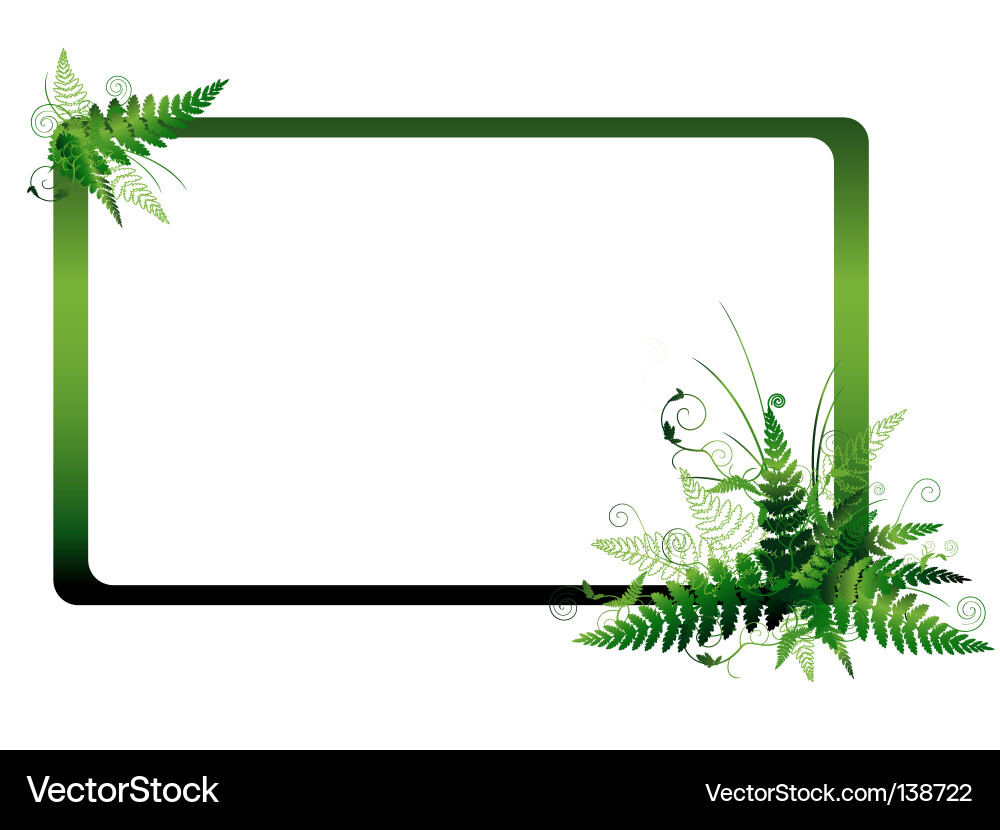 Fern frame Royalty Free Vector Image - VectorStock
