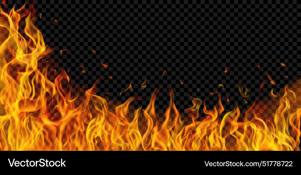 Translucent fire flames Royalty Free Vector Image