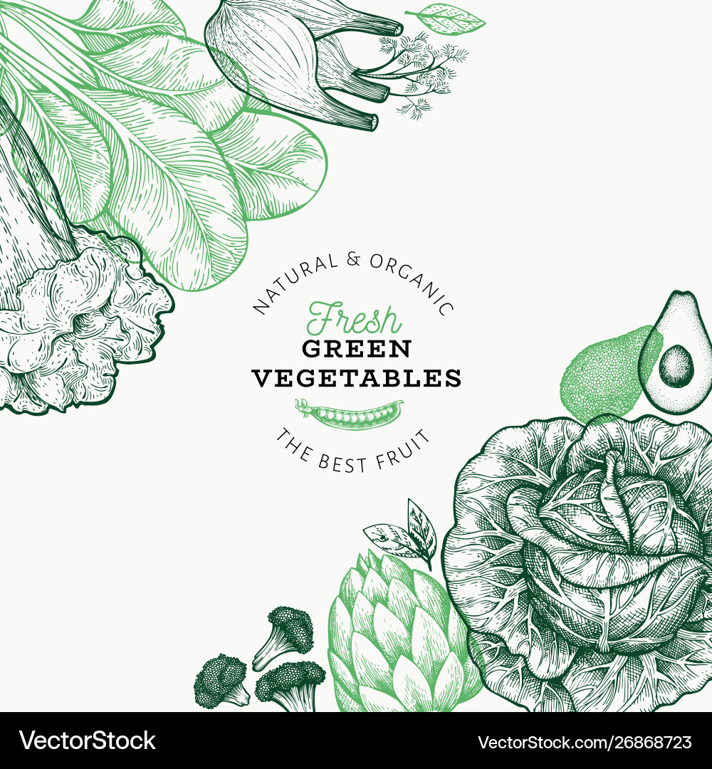 Green vegetables design template hand drawn food Vector Image