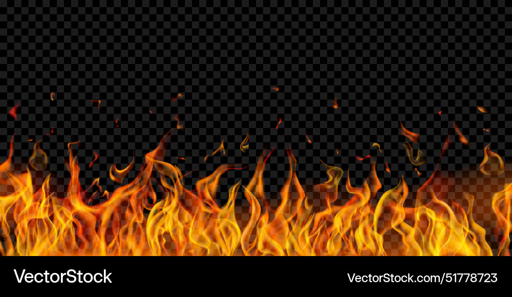 Translucent fire flames Royalty Free Vector Image