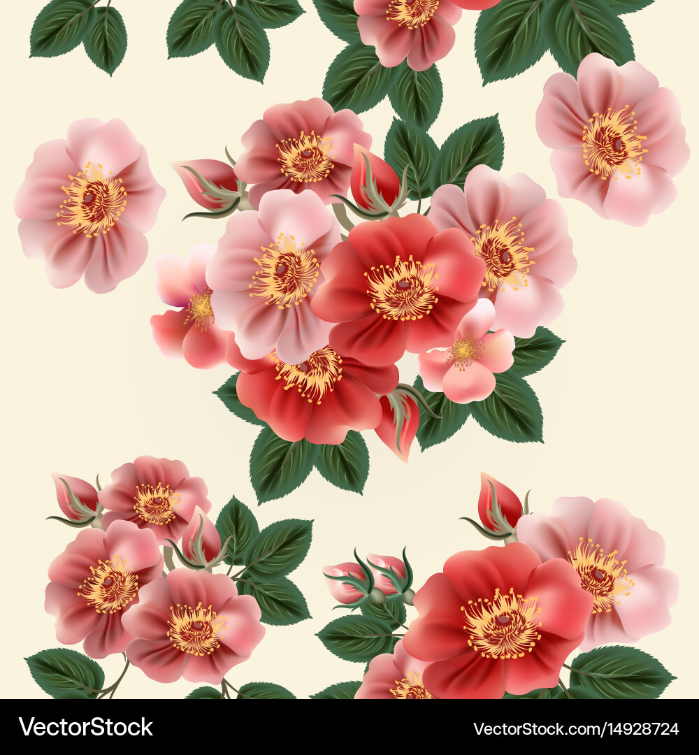 Beautiful pattern with vintage styled rose flowers