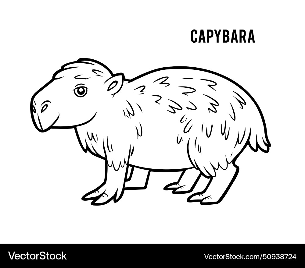 Coloring book for kids capybara Royalty Free Vector Image