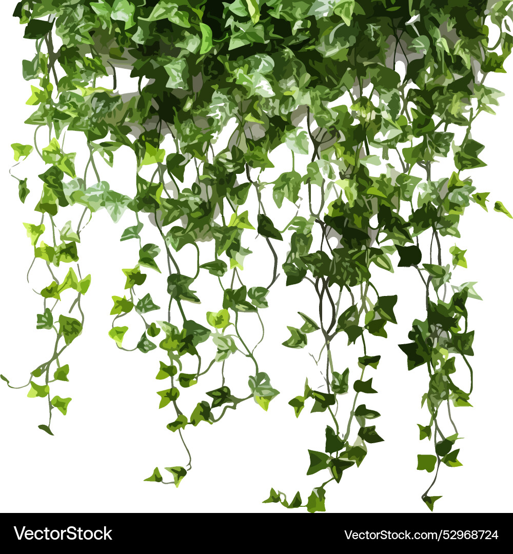 Forest and tree landscape texture abstract Vector Image