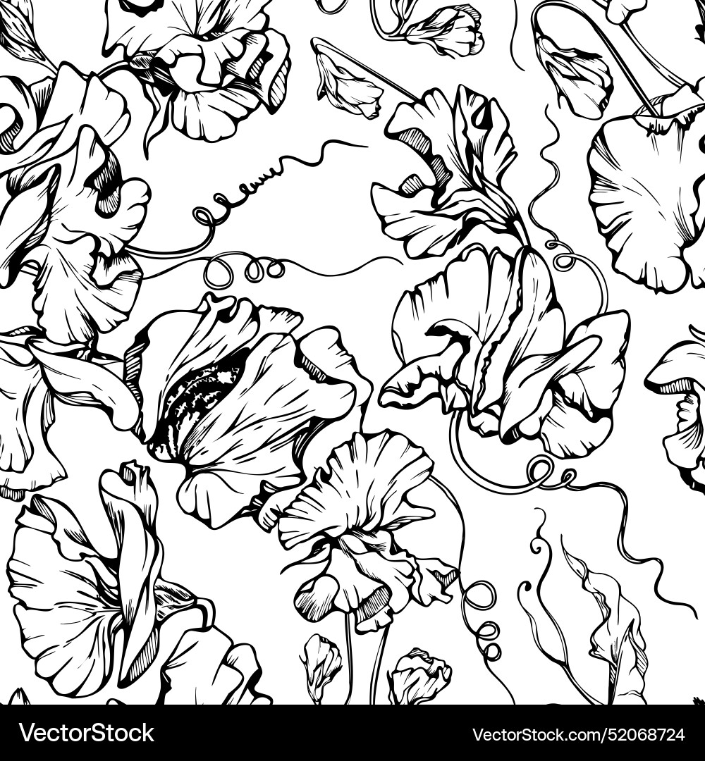 Hand drawn graphic ink botanical flowers leaves Vector Image