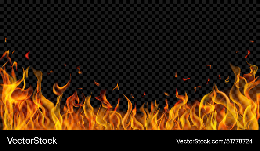 Translucent fire flames Royalty Free Vector Image