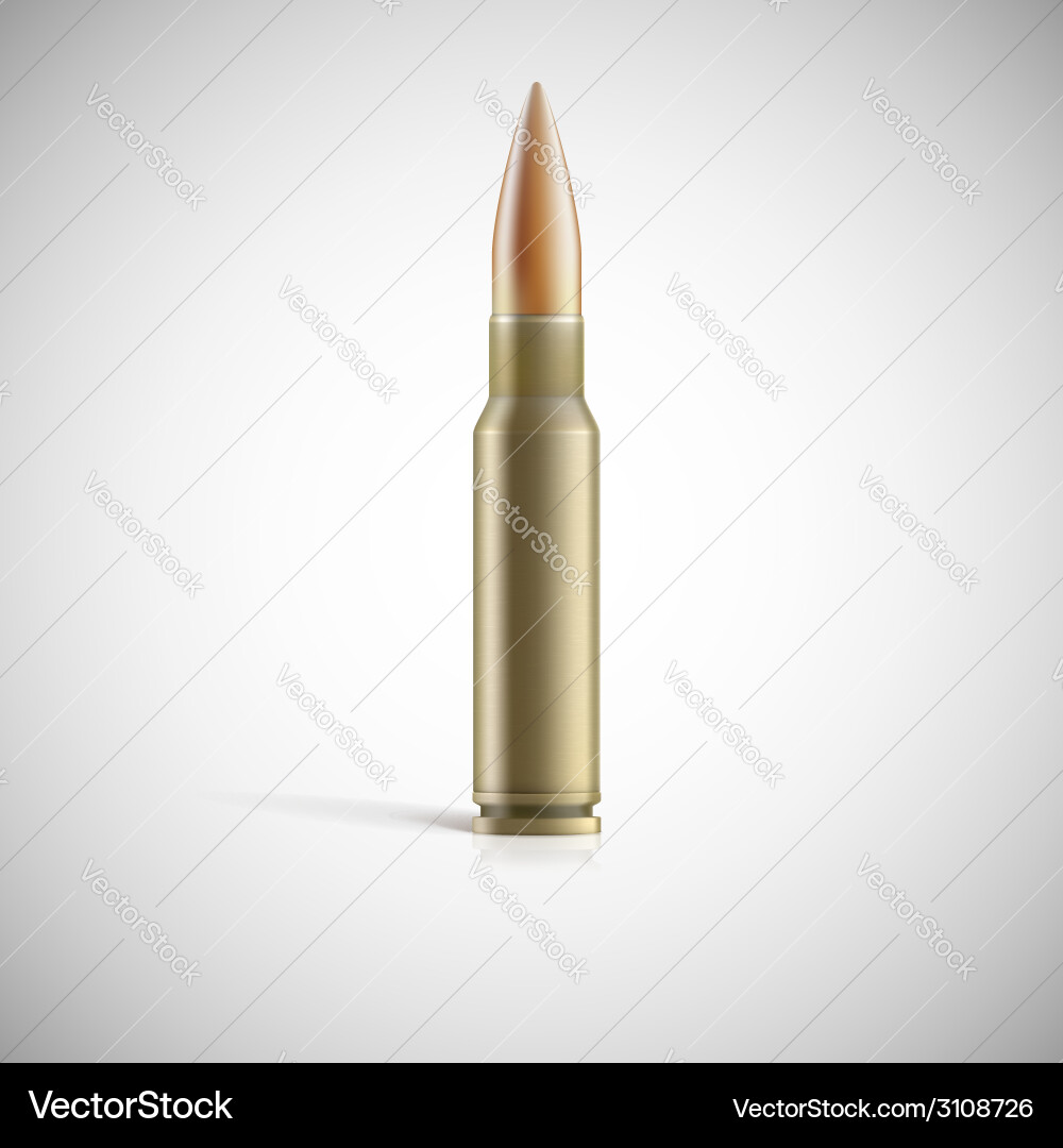 AK-47 Bullet Cartridge Royalty Free Vector Image