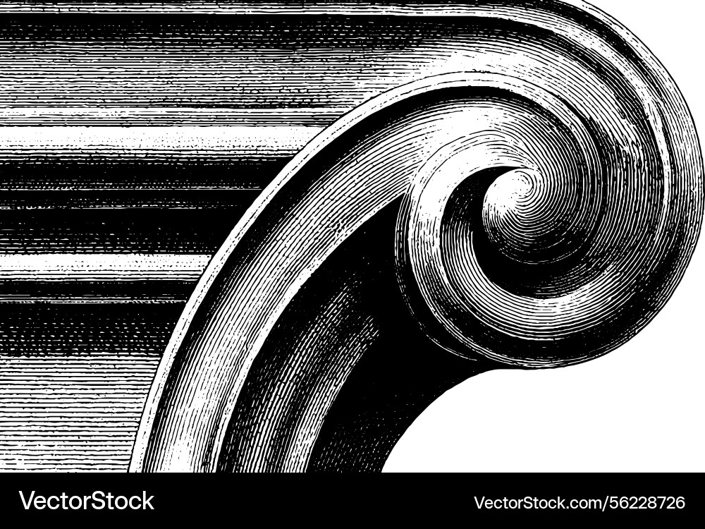 Classical ionic column capital detailed engraving Vector Image