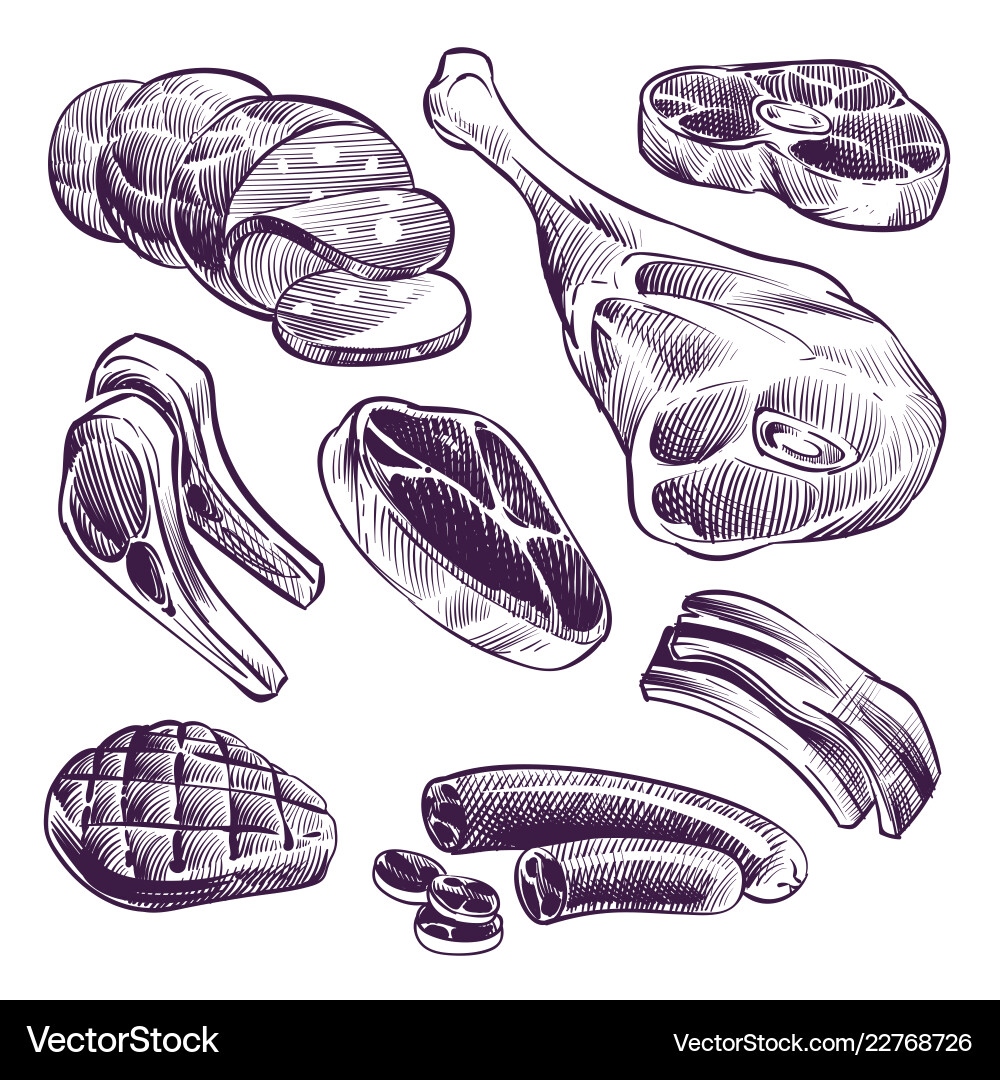 Hand drawn meat steak beef and pork lamb grill Vector Image