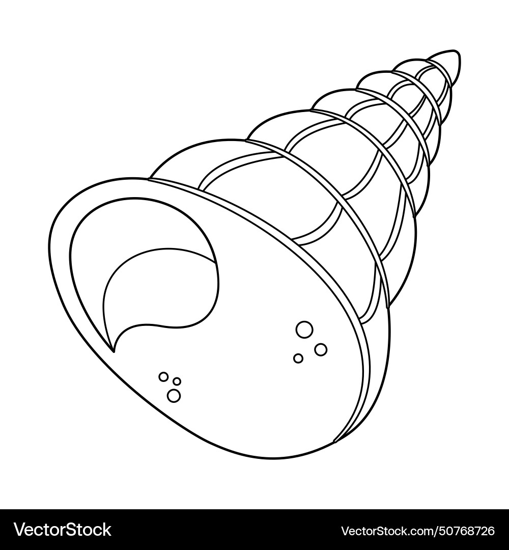 Seashell black and white outline art therapy Vector Image