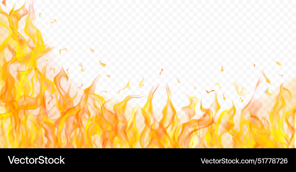 Translucent fire flames Royalty Free Vector Image