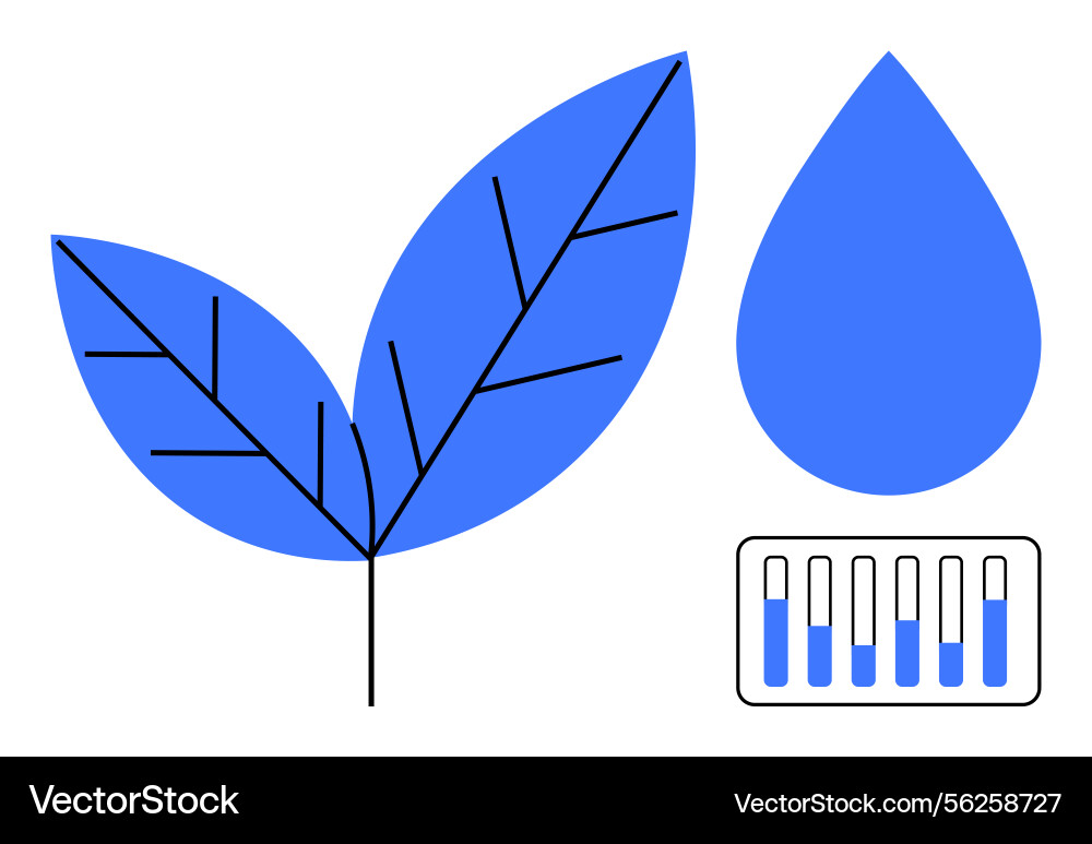 Abstract leaf and water droplet design Royalty Free Vector