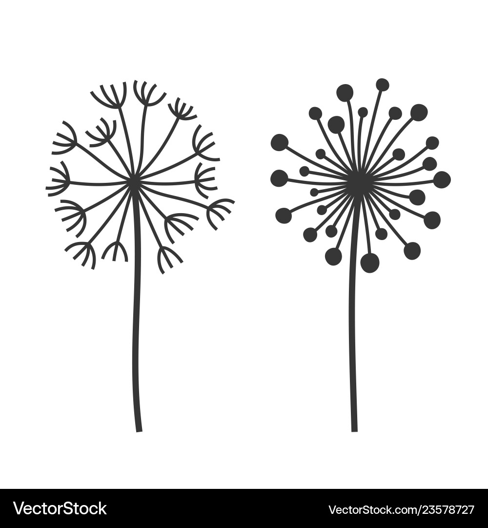 Dandelion Flower Set Royalty Free Vector Image