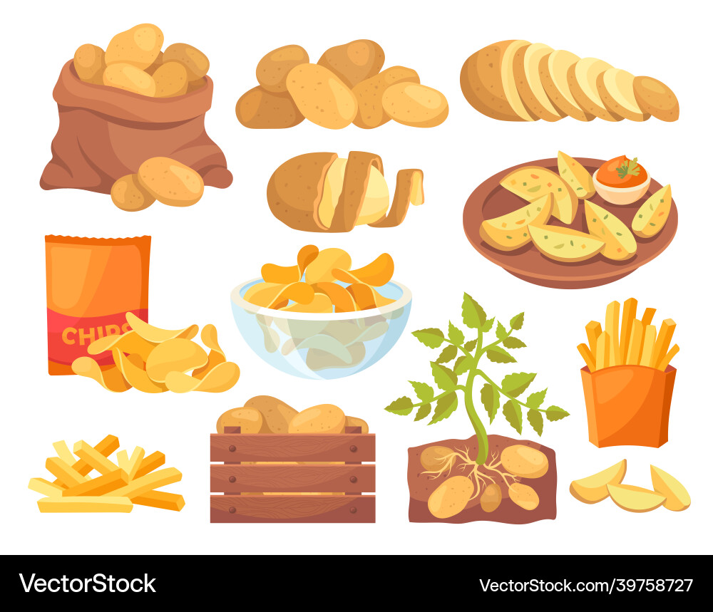 Potato Food Icons Royalty Free Vector Image - VectorStock