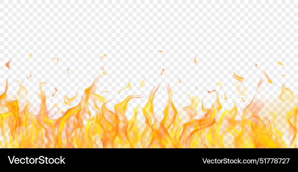 Translucent fire flames Royalty Free Vector Image