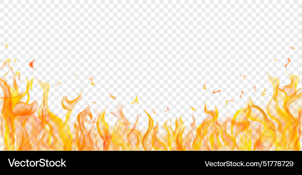 Translucent fire flames Royalty Free Vector Image
