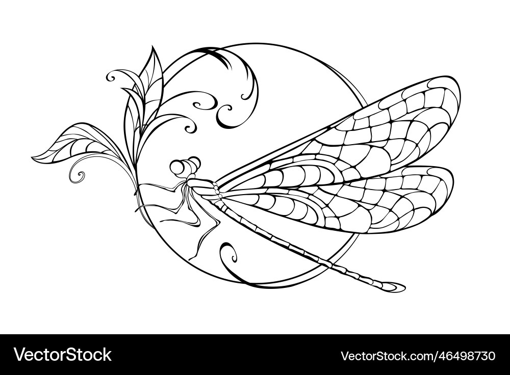 Sitting dragonfly in circle Royalty Free Vector Image