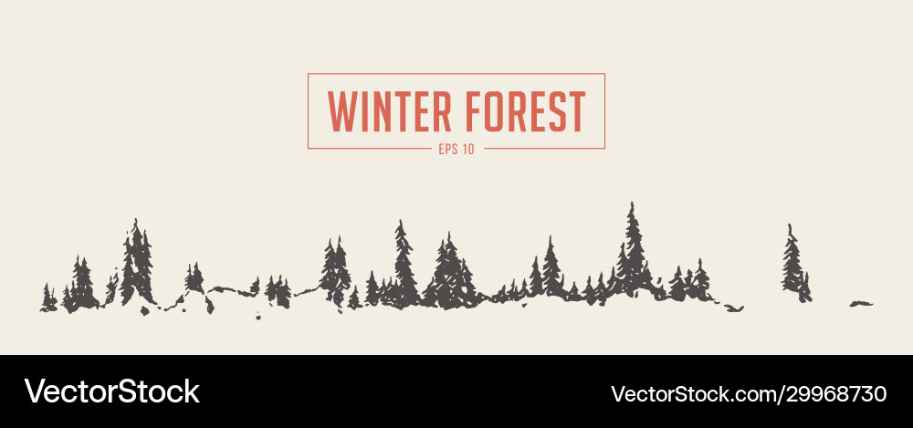 Winter fir forest background drawn sketch Vector Image