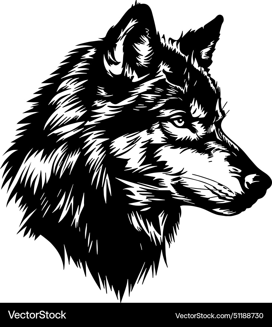 Wolf head Royalty Free Vector Image - VectorStock