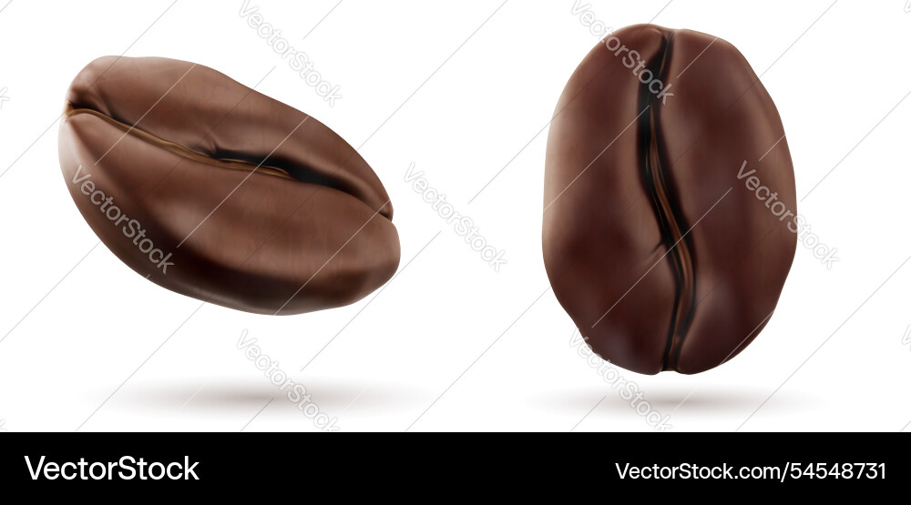 3d coffee beans isolated realistic seed icon Vector Image
