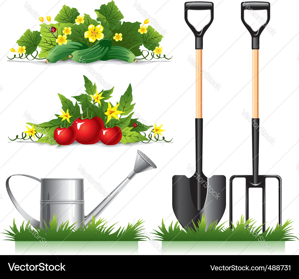 Gardening Tools & Vegetables Royalty Free Vector Image