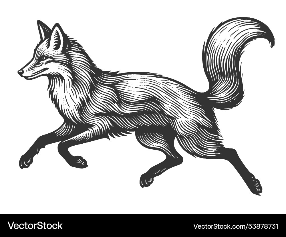 Running fox engraving sketch Royalty Free Vector Image