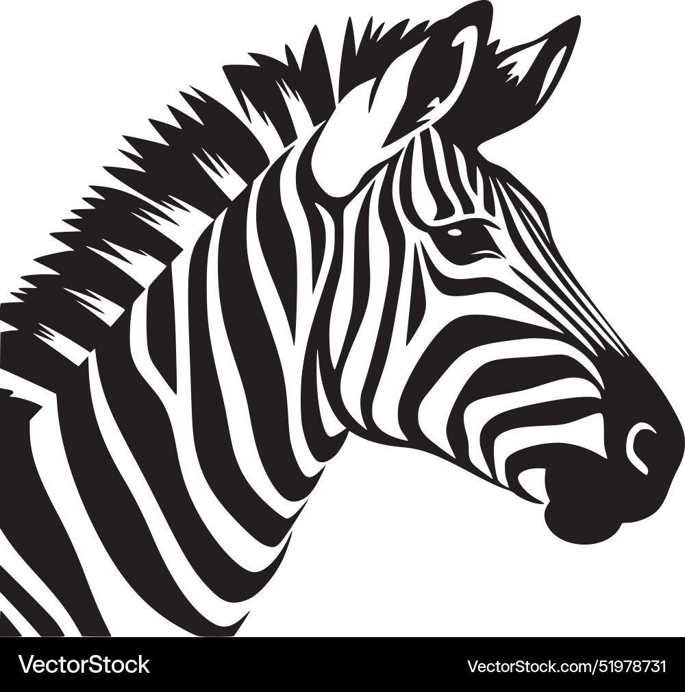 Zebra - black and white isolated icon Royalty Free Vector