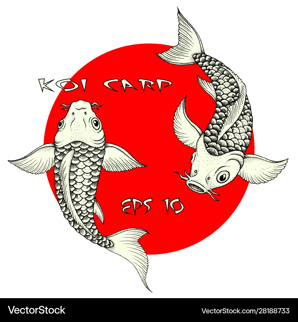 Japanese fancy carp hand drawn ink Royalty Free Vector Image
