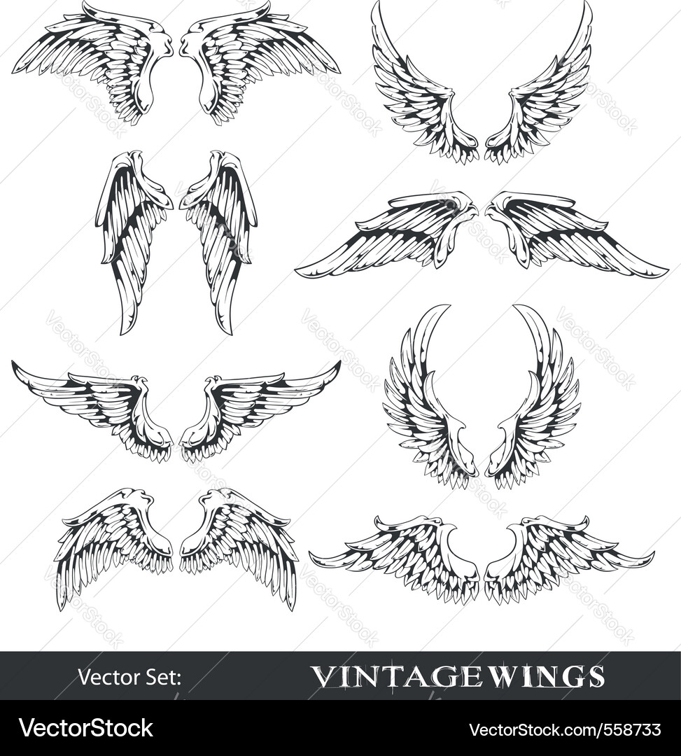 Set of wings Royalty Free Vector Image - VectorStock