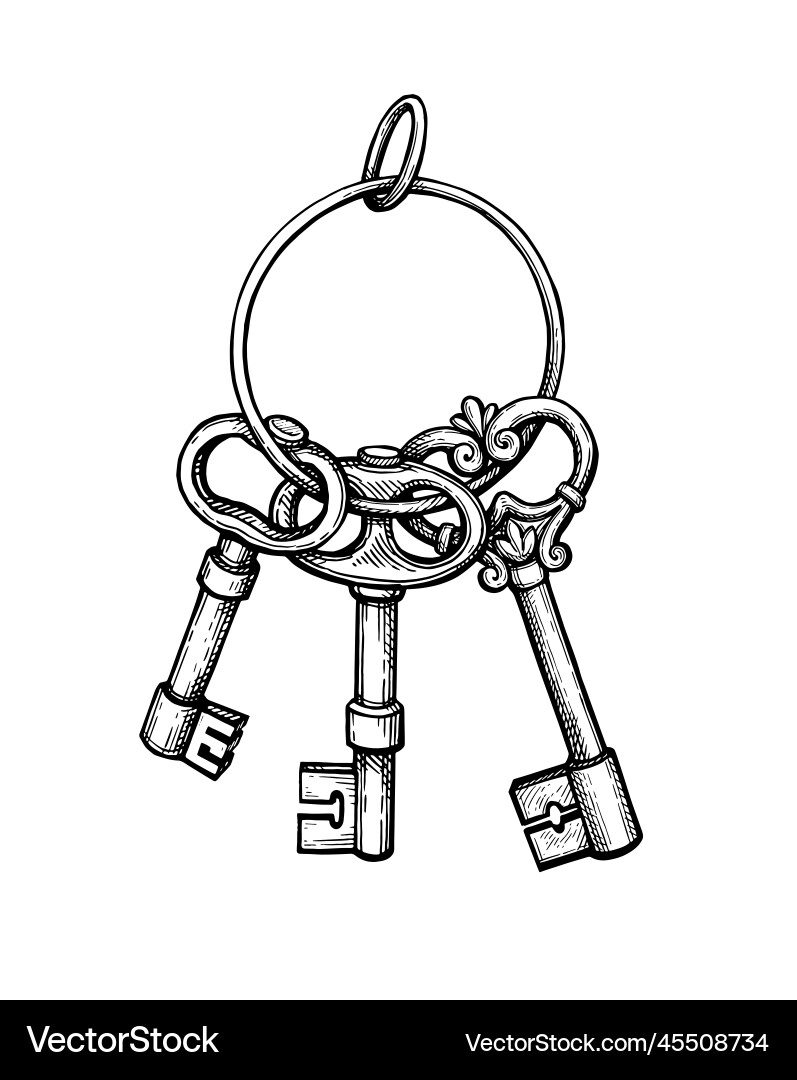 Bunch of keys ink sketch Royalty Free Vector Image