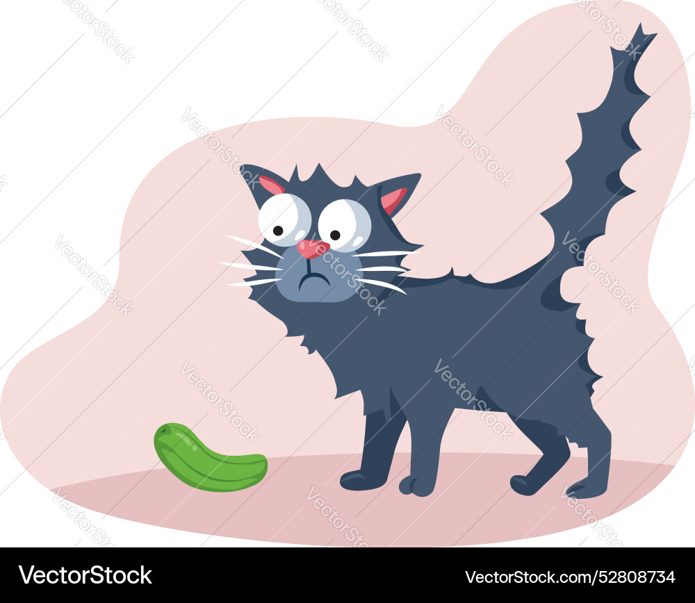 Fearful cat afraid of a green cucumber Royalty Free Vector