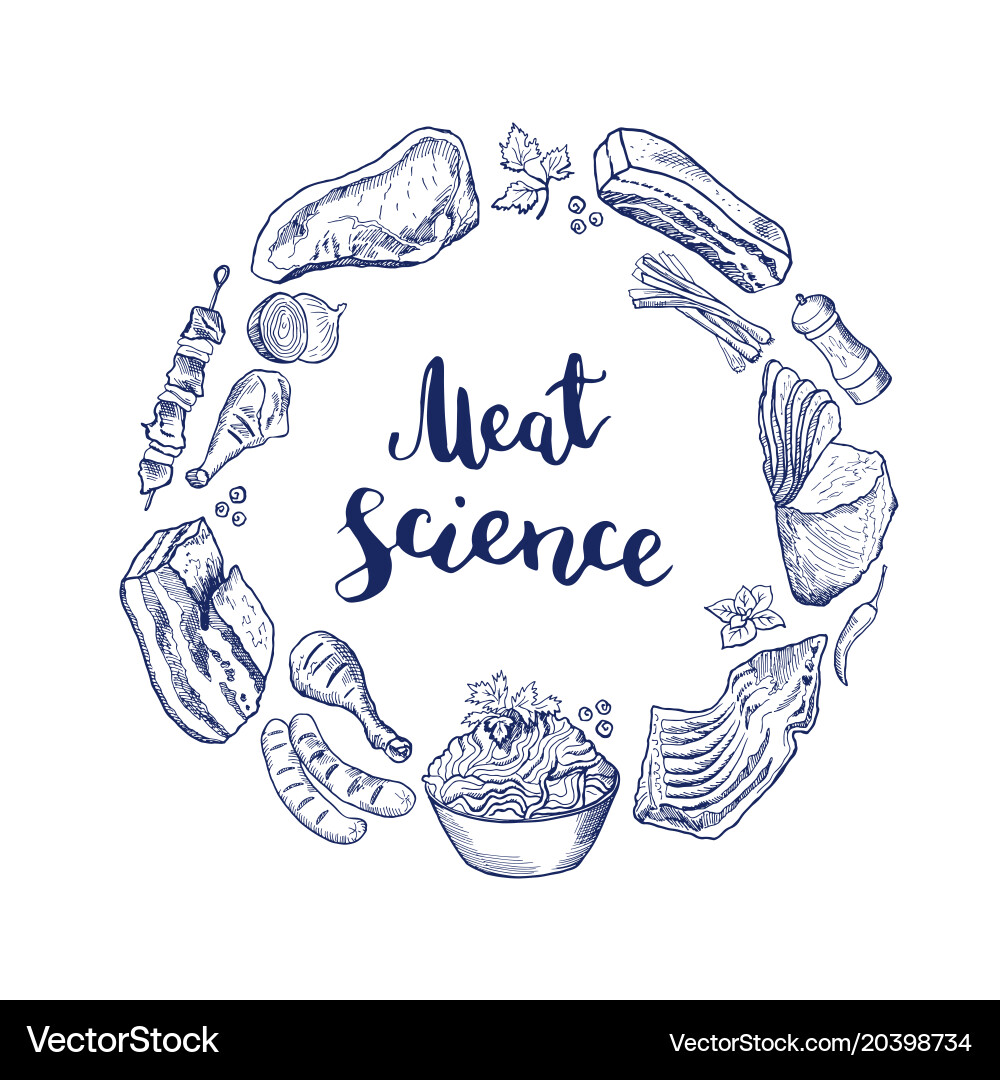 Hand drawn meat elements Royalty Free Vector Image