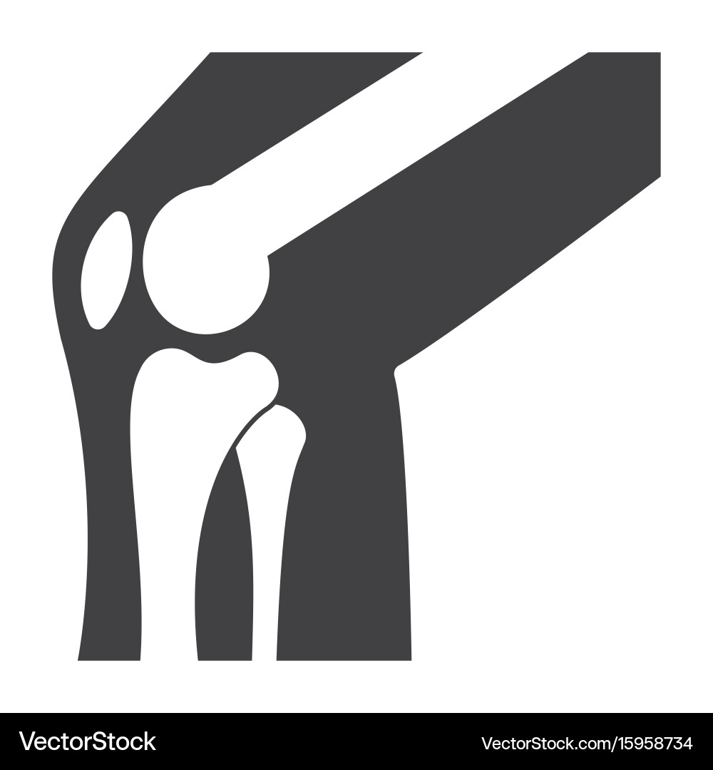 Knee joint bones Royalty Free Vector Image - VectorStock