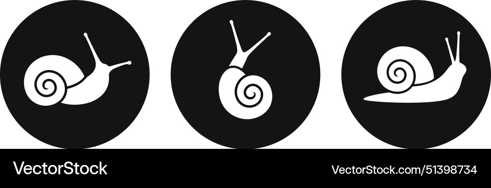 Snail Royalty Free Vector Image - VectorStock