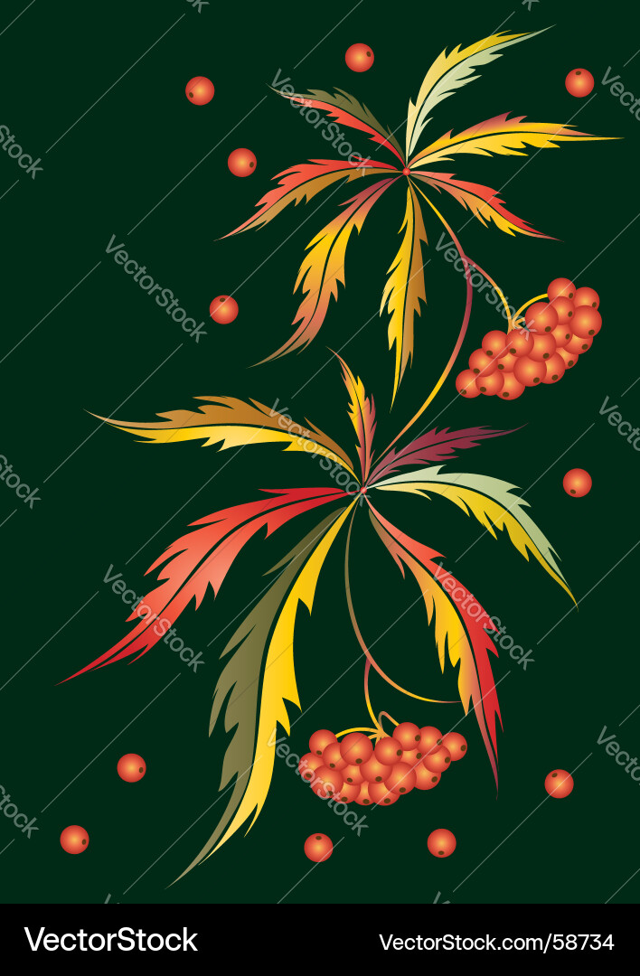 Vine Royalty Free Vector Image - VectorStock