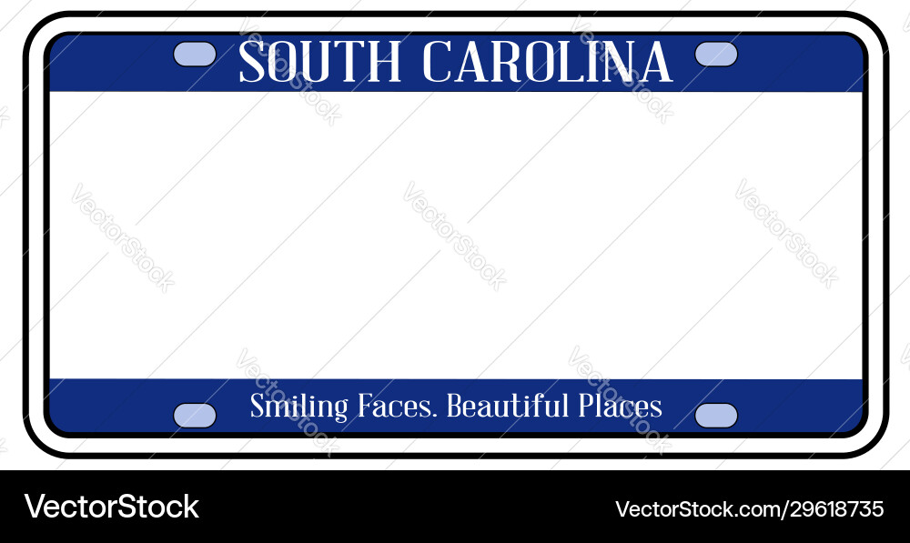 Blank south carolina state license plate Vector Image